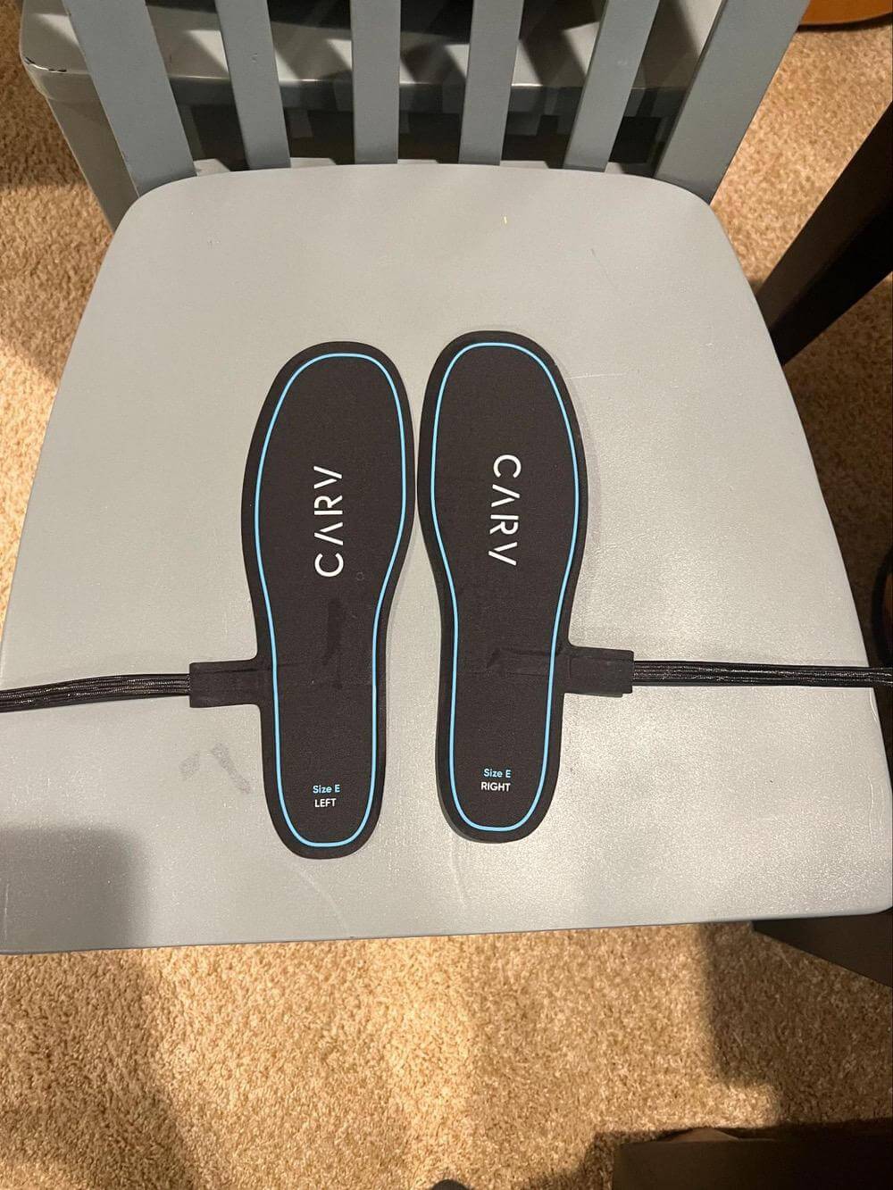 CARV App and Ski Coach Review: Is It Worth It?