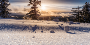 3 Different Types of Snow (And What They Look Like)