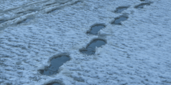3 Different Types of Snow (And What They Look Like)