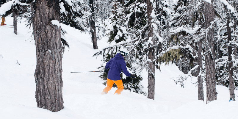 5 Best Skis for Tree Skiing in 2024 (Expert Guide)